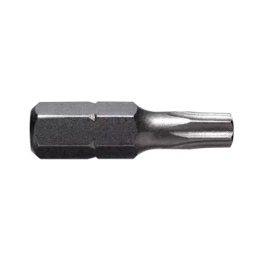 Bitje Torx TX25 25mm | Snoei Tuinmaterialen
